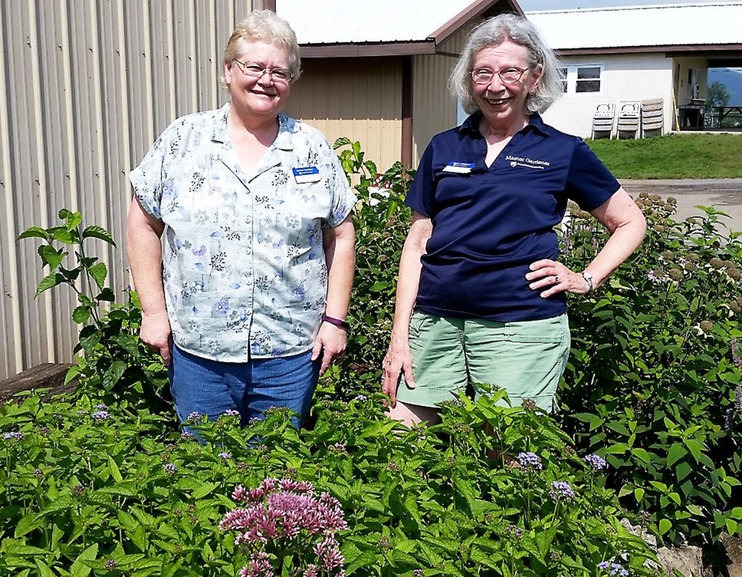 Master Gardener Program accepting applications | News, Sports, Jobs ...